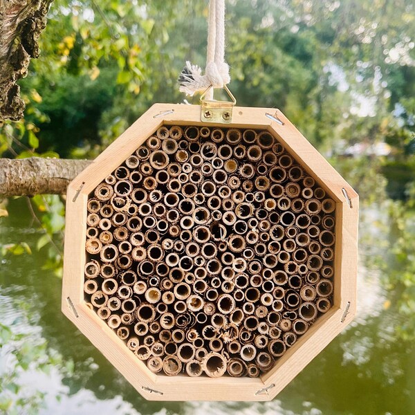 Bee House - Etsy