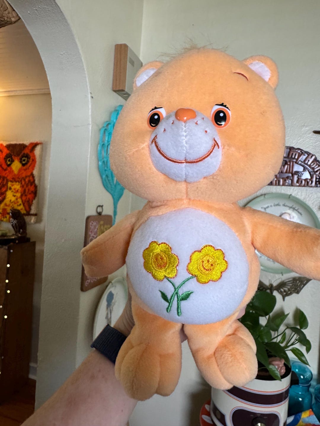 Vintage 2002 Care Bears Friend Bear 10 Inches Y2K Kids Toys Nostalgia ...