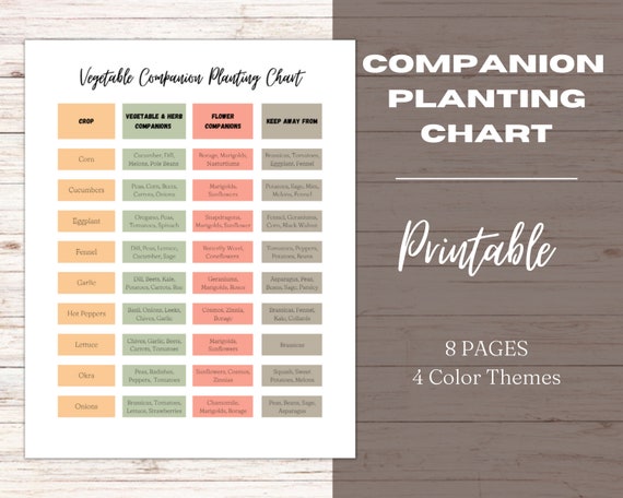 Companion Planting Garden Diagram Template Square Foot Gardening...