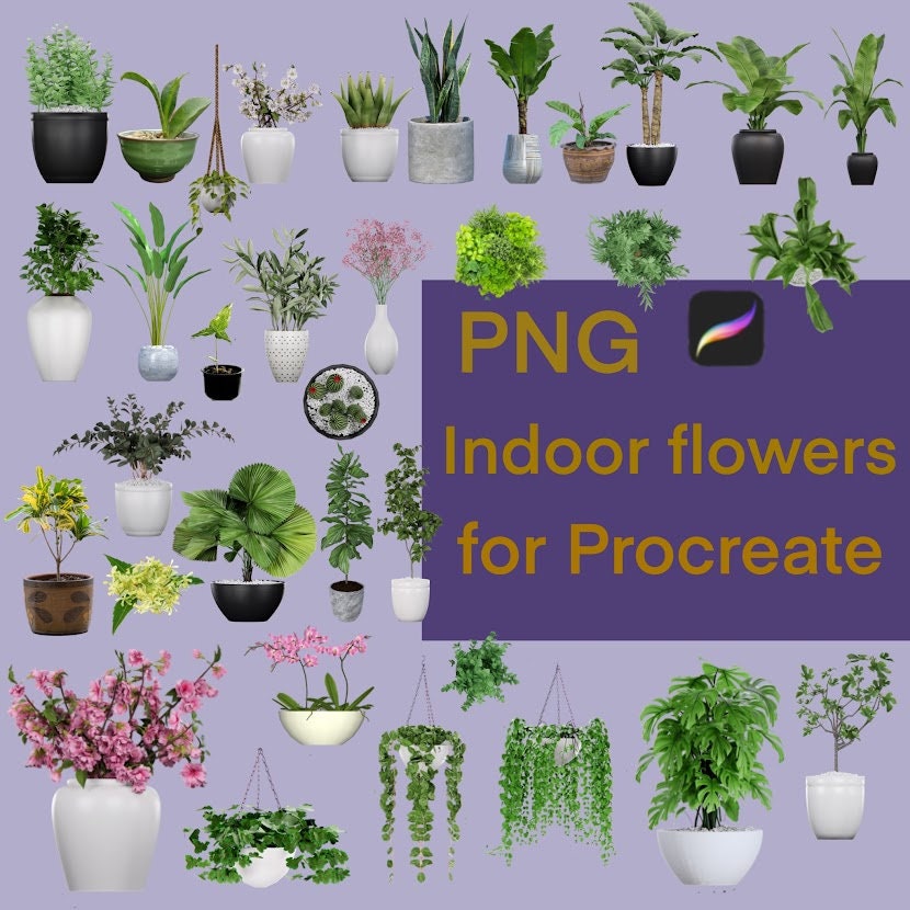 Images for Sketch/render/architecture House for the Procreate - Etsy