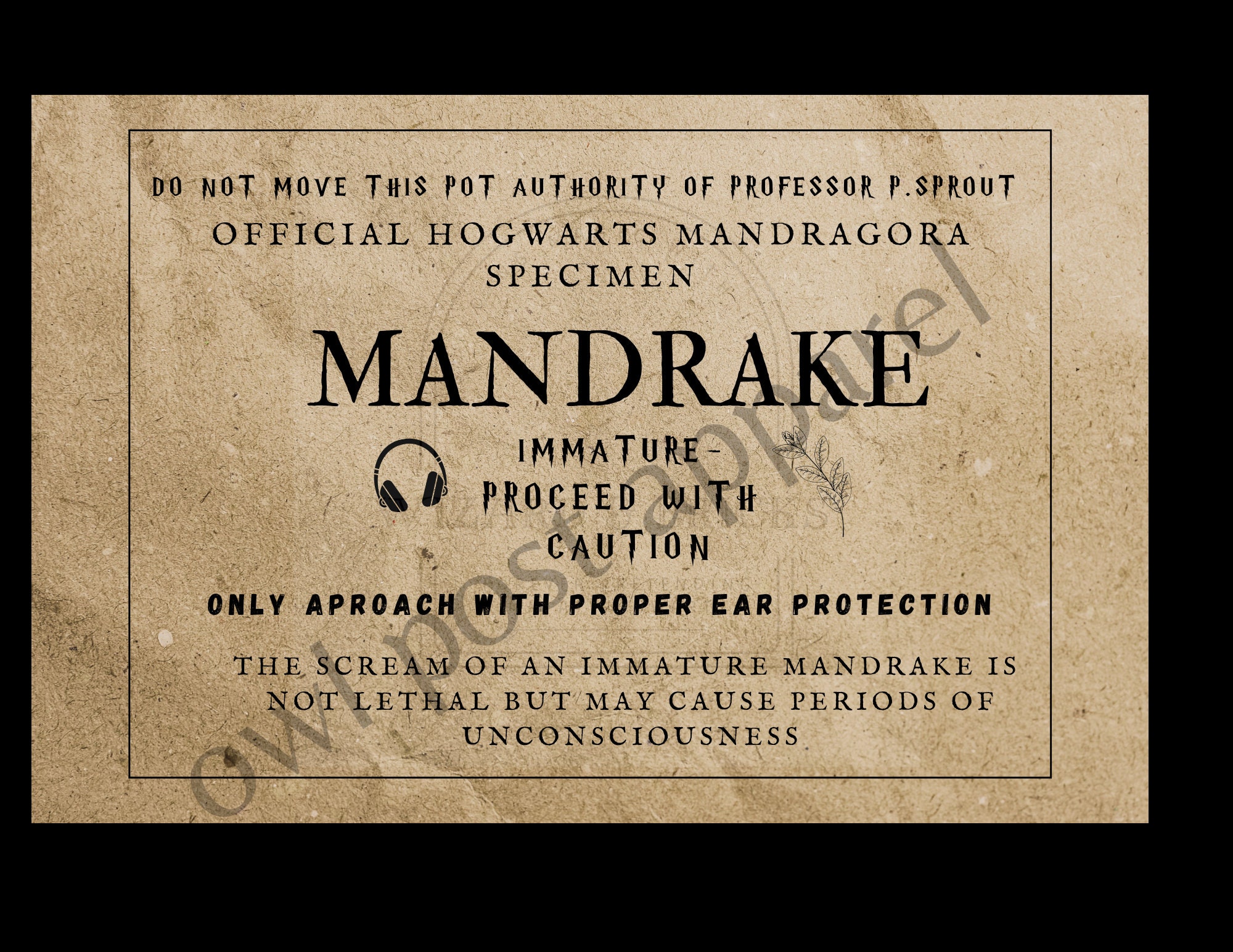 MANDRAKE Plant Labels Editable Pack of 9 Unique Labels - Etsy