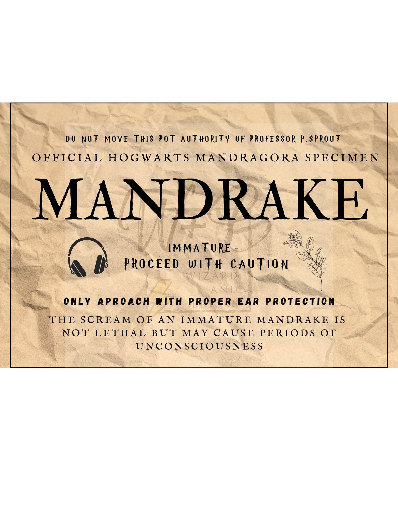 Mandrake Plant Label*instant Download* 2 Versions Included - Etsy