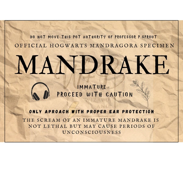 Baby Mandrake Costume - Etsy
