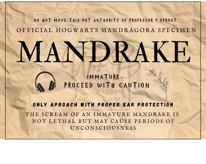 Mandrake - Etsy
