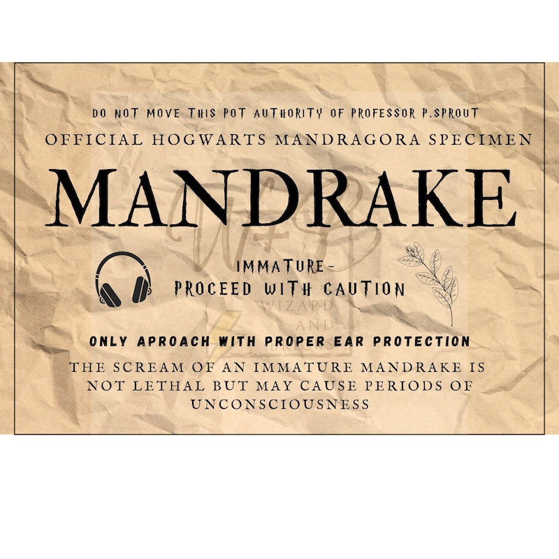 Baby Mandrake Costume - Etsy