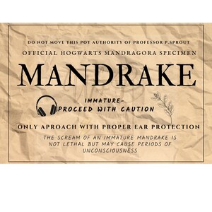 Mandrake Plant Label*instant Download* 2 Versions Included - Etsy