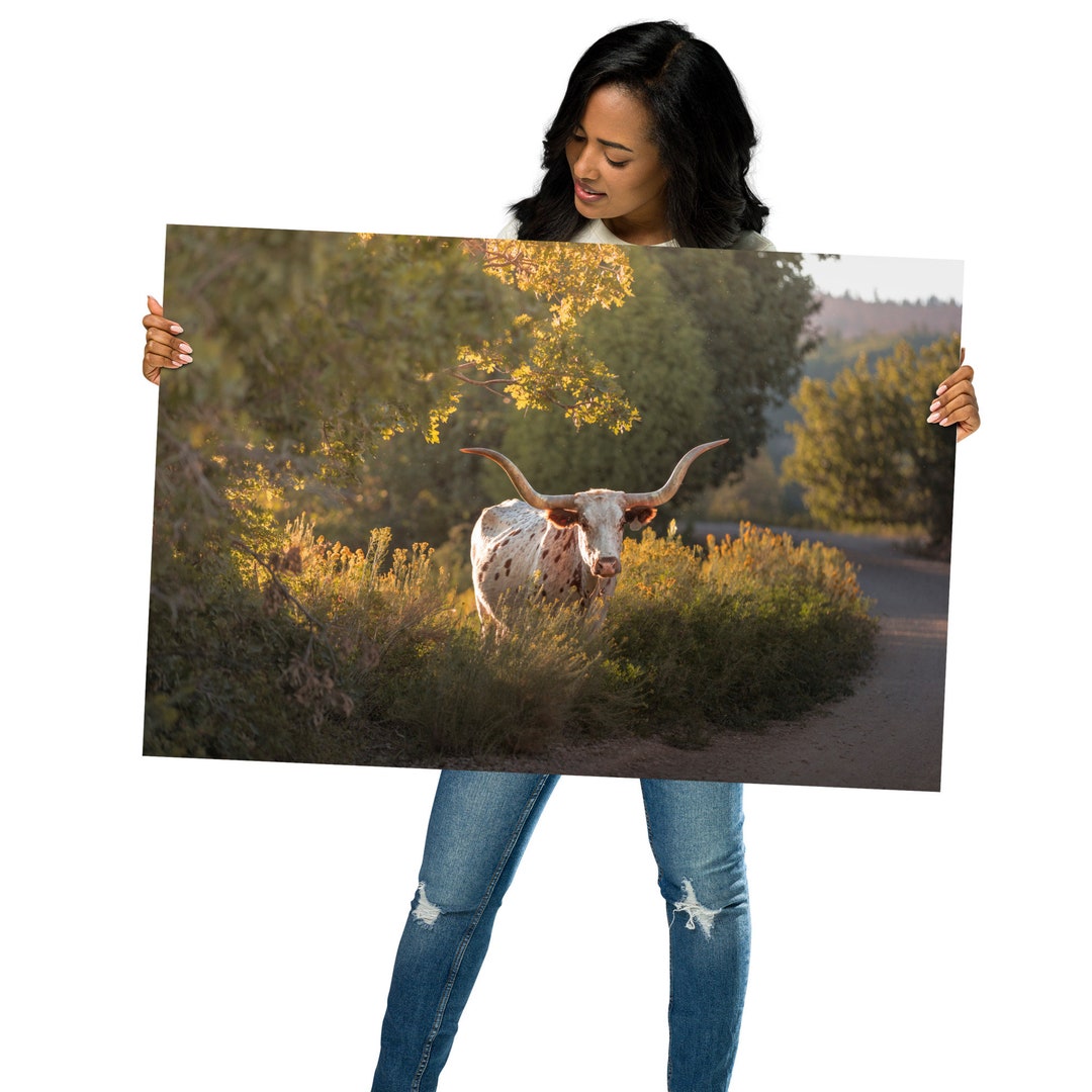 Longhorn Poster - Etsy