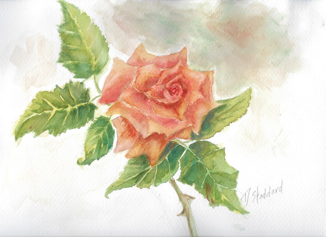 Peach Rose Print, Rose Watercolor Painting, Museum Quality Fine Art ...