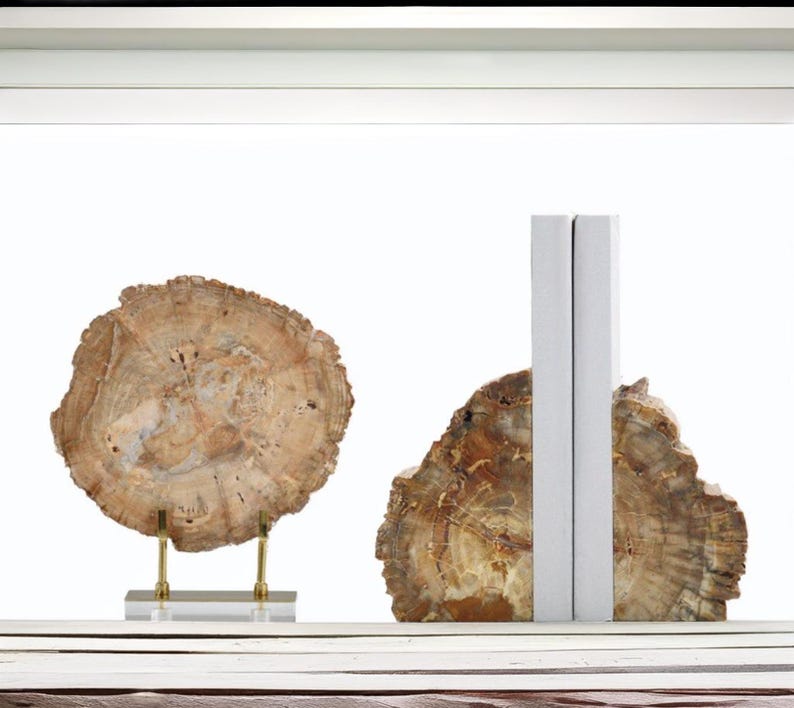 Artistic Wood Fossil Bookends & Polished Wood Slice Decoration Home ...