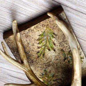 Antler Bookends | Unique Bookends | Bookshelf Decor | Home Decor | Deer ...