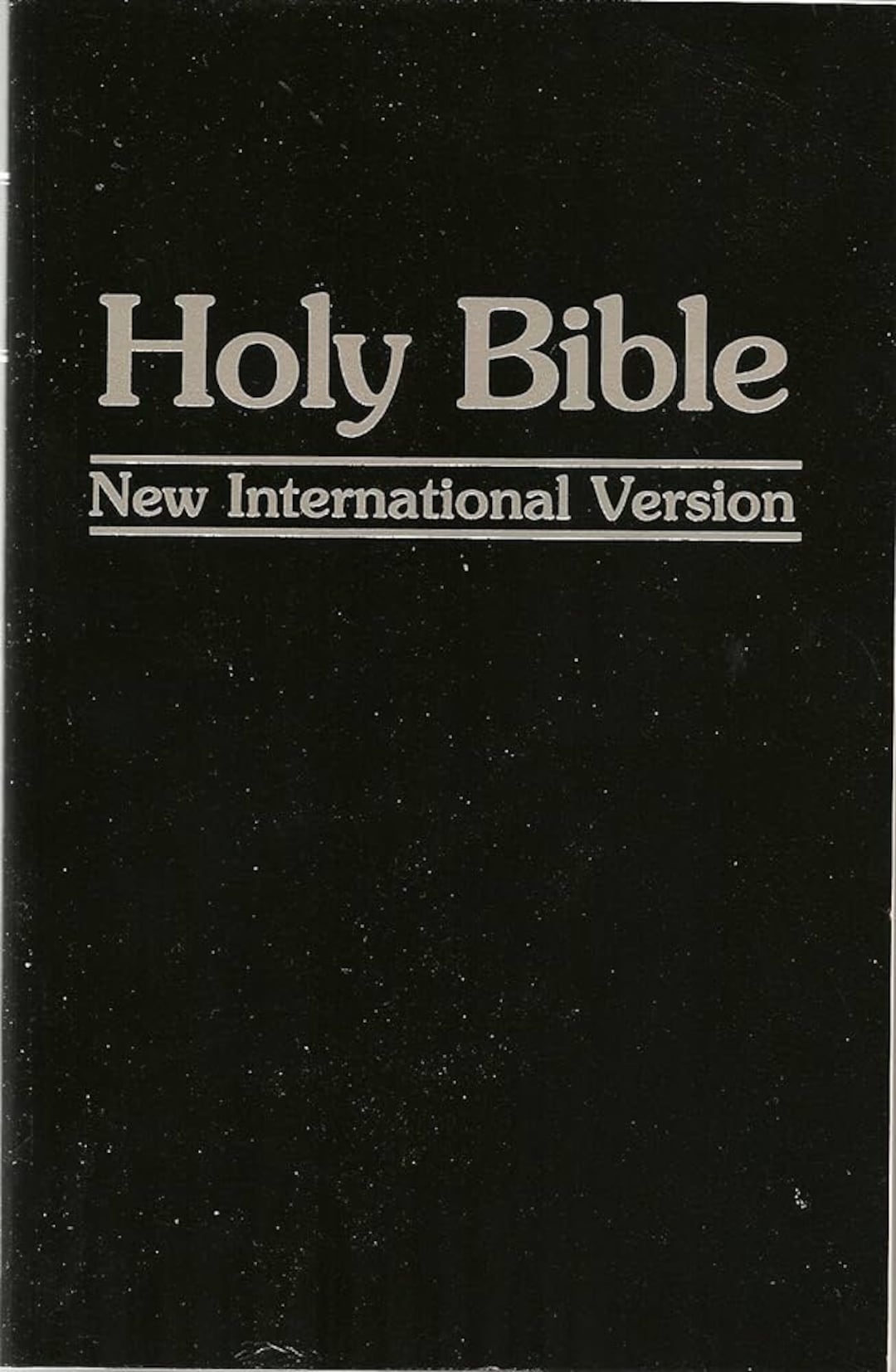 Holy Bible New International Version (NIV) E-book PDF Download Jesus ...