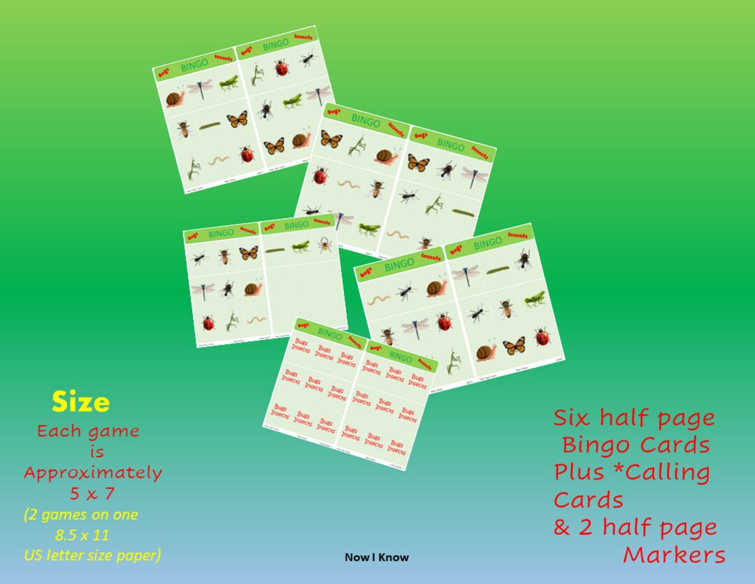 Bingo Game Bugs Insects Colorful Pictures Children Play in Home Child ...