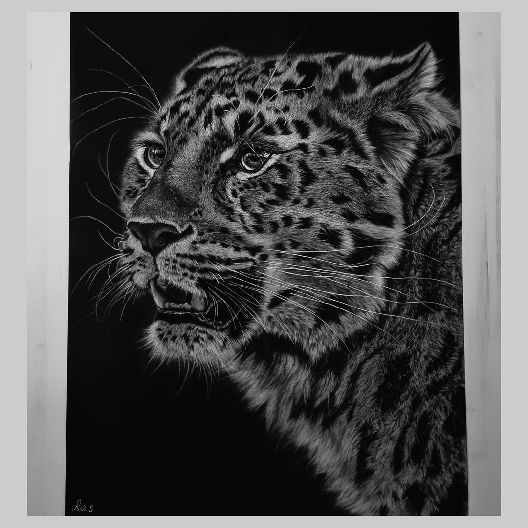 Realistic Charcoal Pencil Drawing of an Amur Leopard on Bristol Paper ...