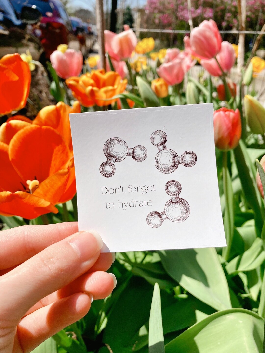 H2O Hydration Sticker - Etsy