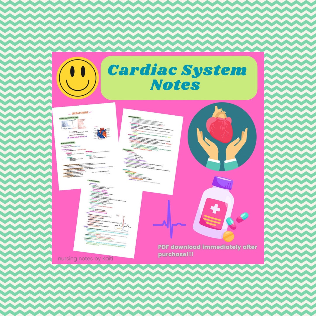 Cardiac System Notes - Etsy