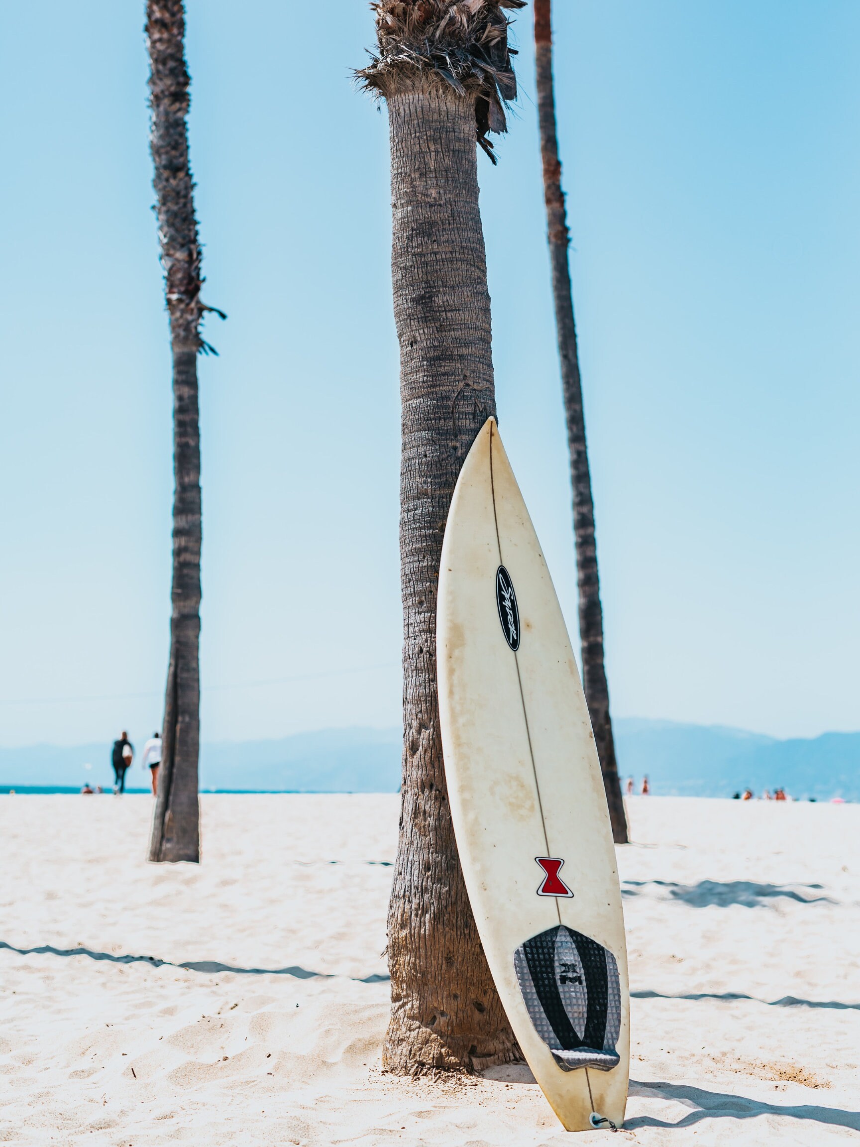 Ocean Tropical Digital Posters - Etsy