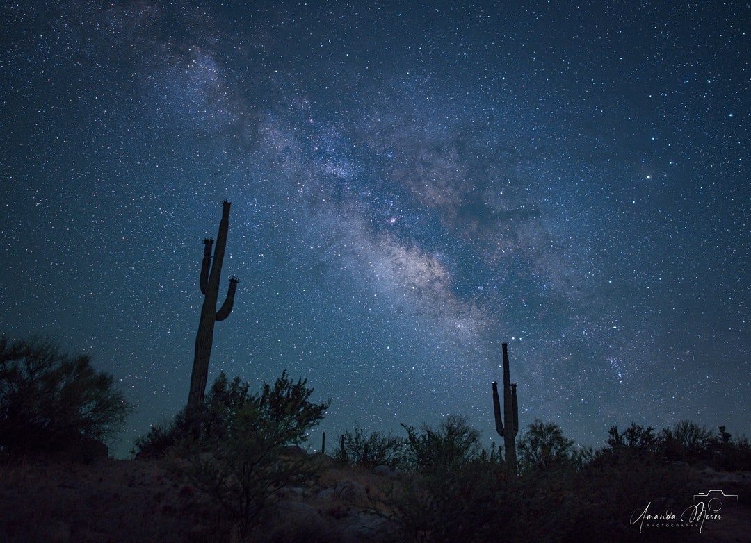 Milky Way Over Saguaros Metal Print, Arizona Landscape Astrophotography ...