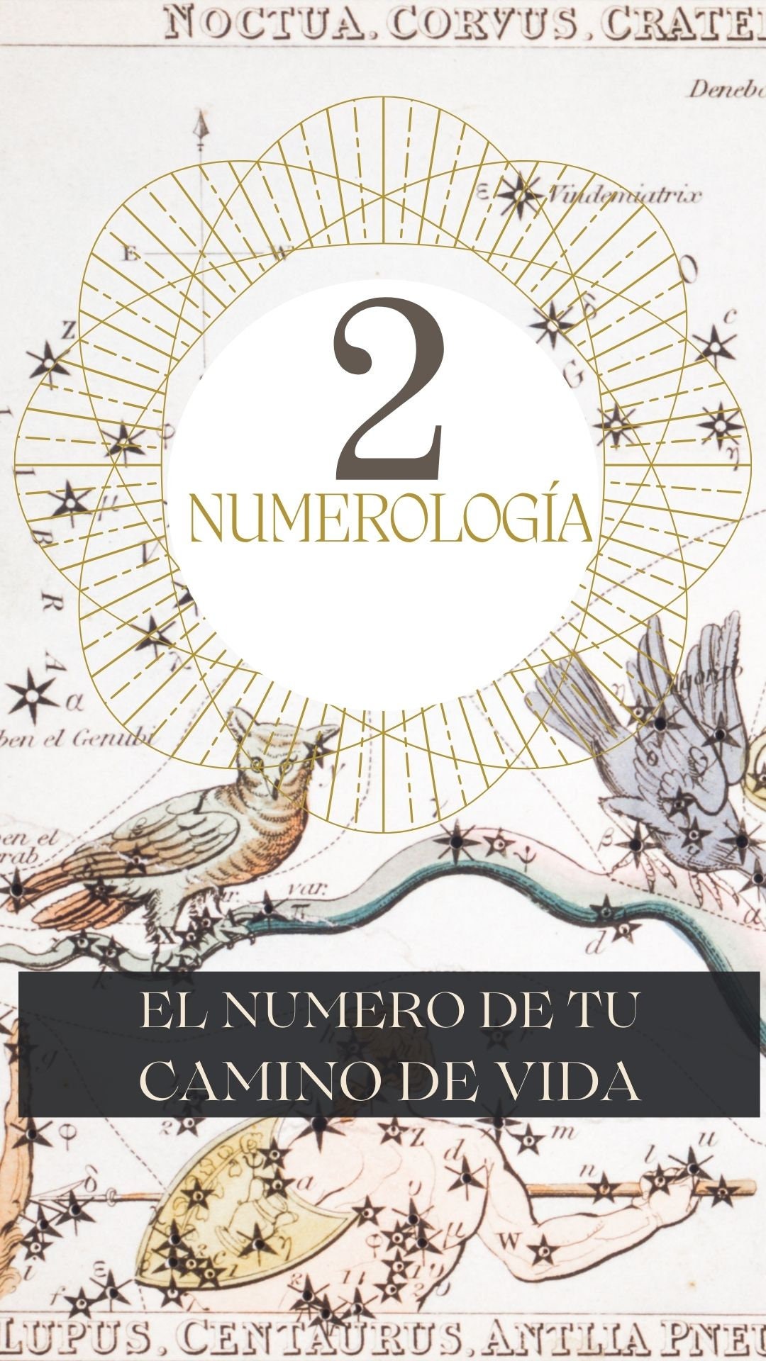 Número 2 Guía Rápida De Numerología - Etsy
