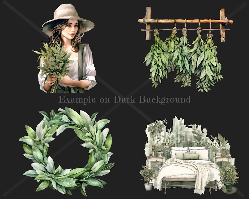Watercolor Healing Sage Clipart Bundle: Sage Plants Dried - Etsy