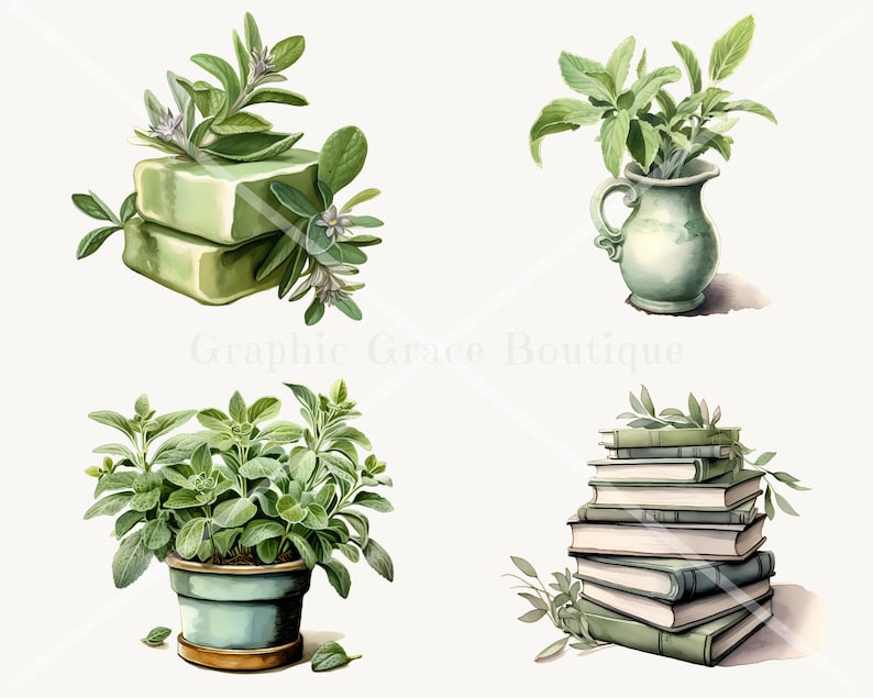 Watercolor Healing Sage Clipart Bundle: Sage Plants Dried - Etsy