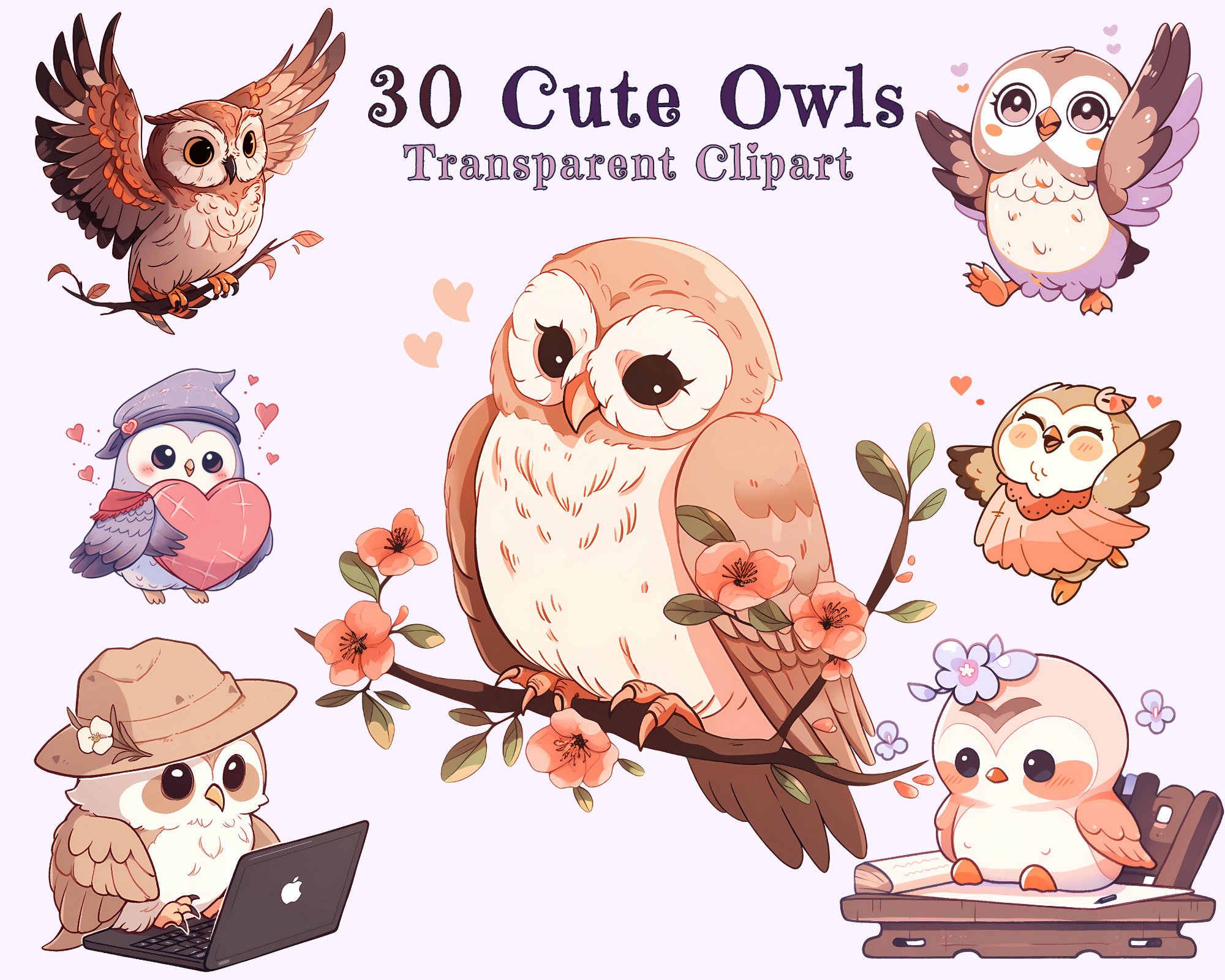 Owl Clip Art Social Studies