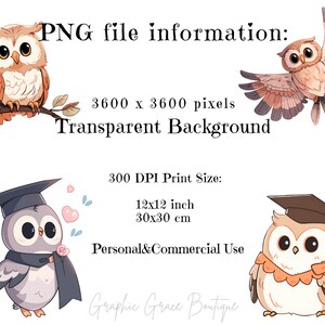 Adorable Owl Clipart Bundle - 30 Cartoon Style Owls for Nursery Decor ...