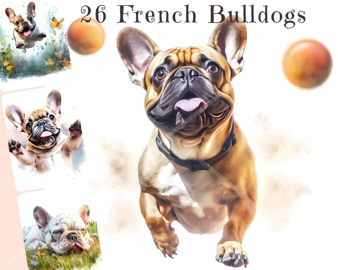 Watercolor French Bulldog Clipart: Frenchie Puppies PNG Images ...