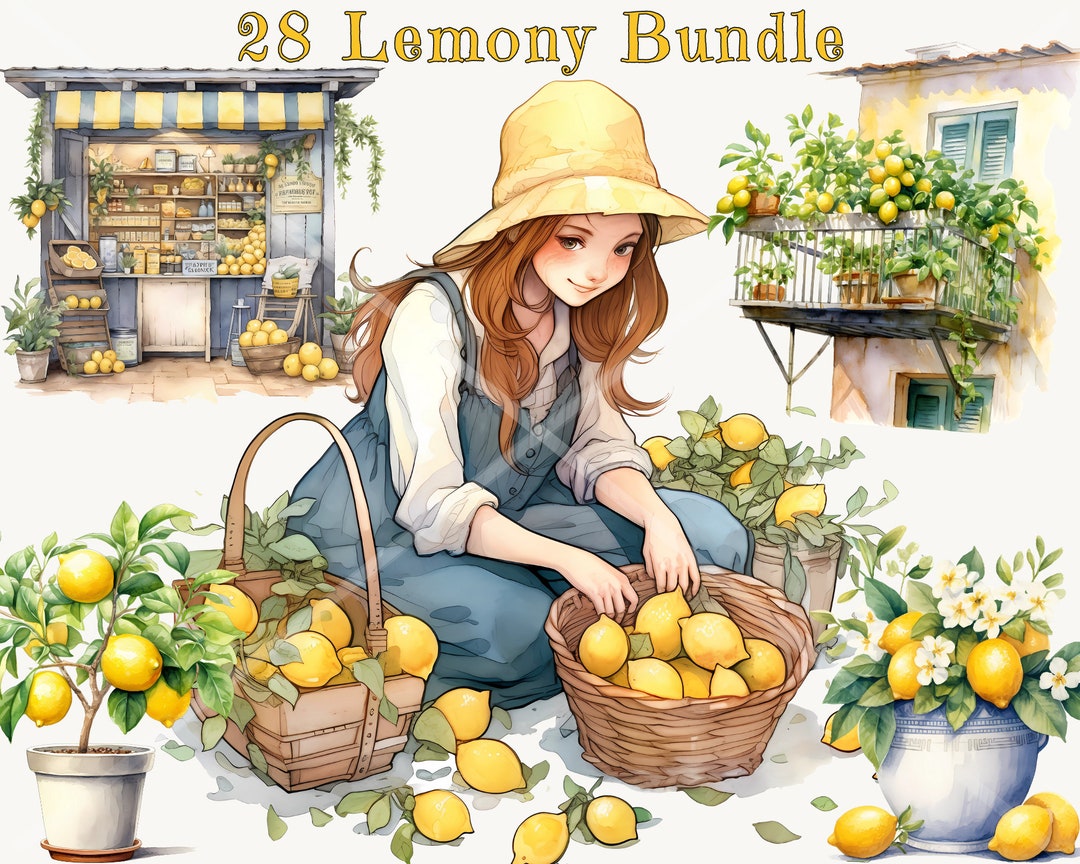 Watercolor Lemon Clipart: Citrus Fruit Designs (digital PNG) - Etsy