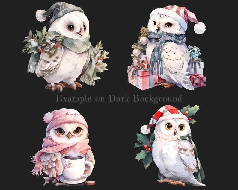 Watercolor Christmas White Owl Clipart Bundle: Cute Owls in Winter ...
