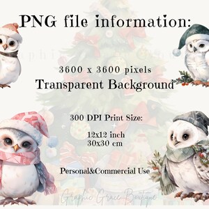 Watercolor Christmas White Owl Clipart Bundle: Cute Owls in Winter ...