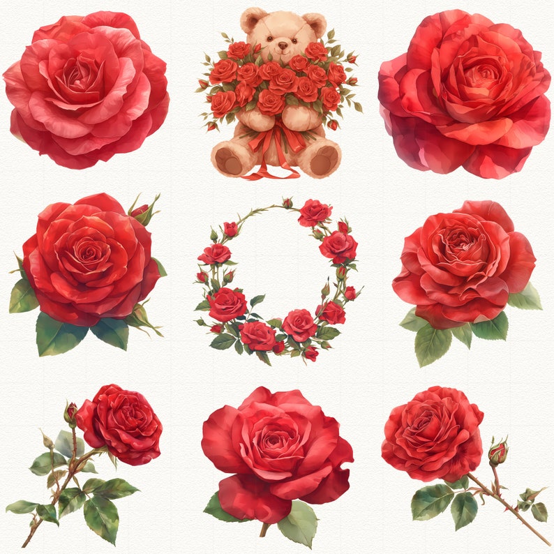 Red Roses Watercolor Clip Art to Compliment Your Floral Design ...