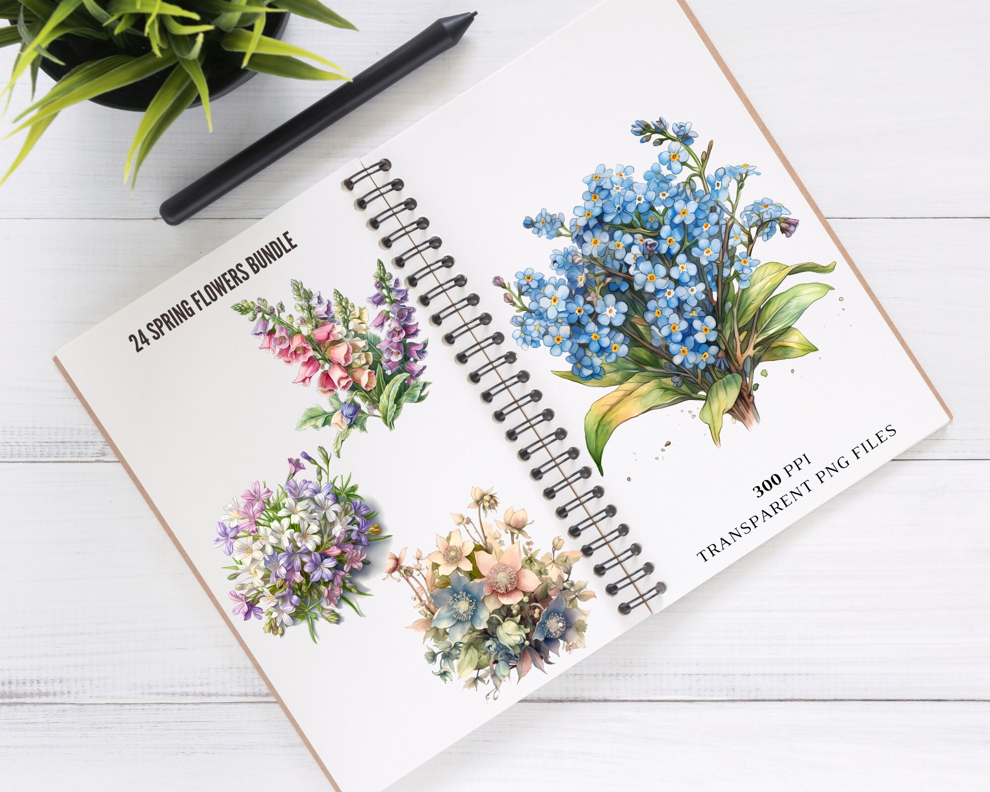 Watercolor Spring Flowers Clipart Bundle Vase of Flowers - Etsy