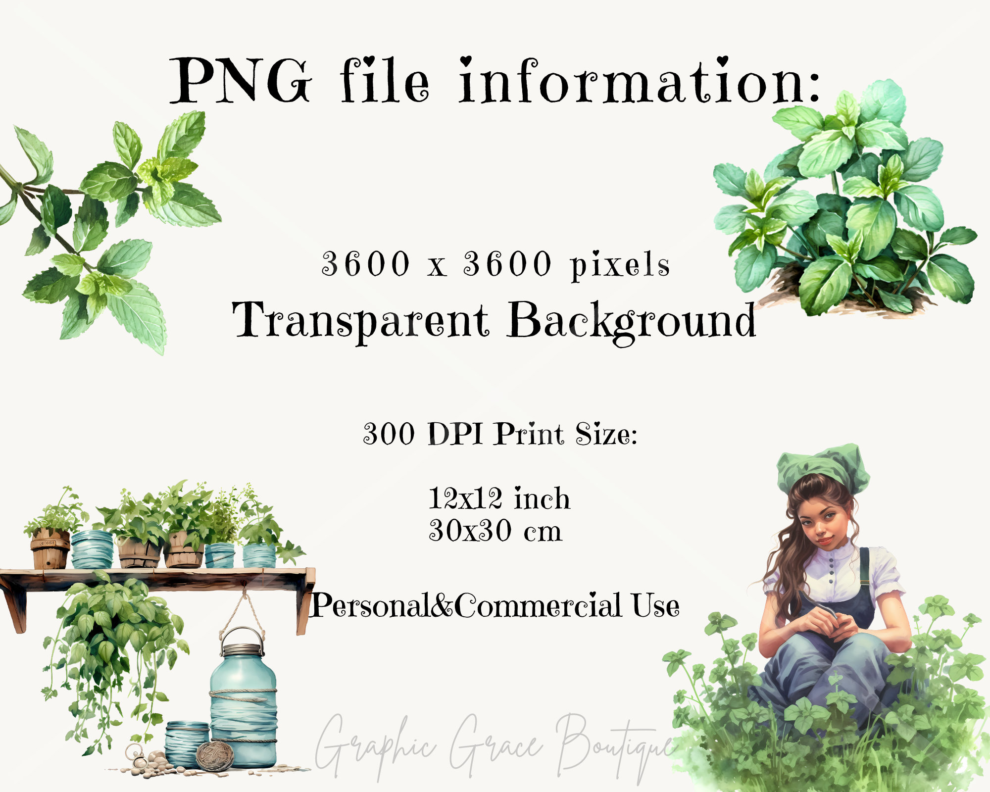 Premium Watercolor Mint Bundle Clipart Herbal Themed Transparent PNG ...