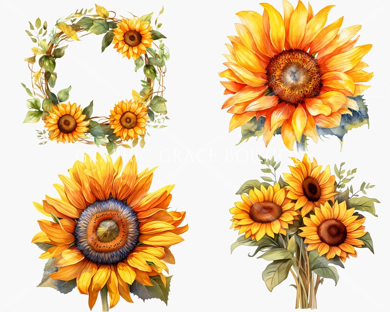 Sunflower Watercolor Clipart Bundle PNG Floral Bouquets - Etsy
