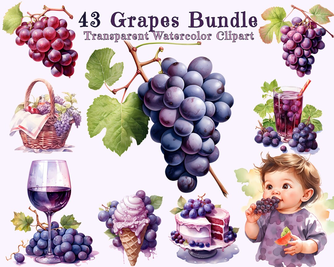 Fresh Grapes Watercolor Clipart Bundle: Wine, Desserts, Fresh Drinks ...