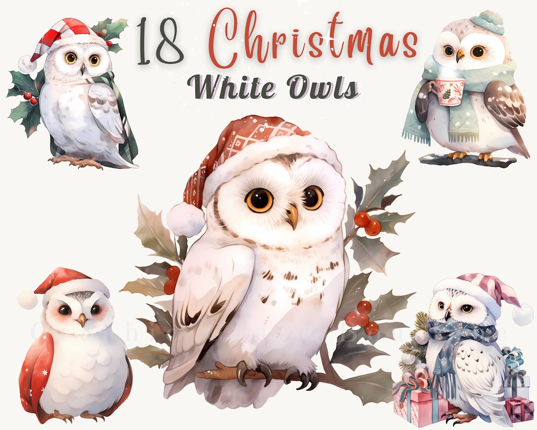 Watercolor Christmas White Owl Clipart Bundle: Cute Owls in Winter ...