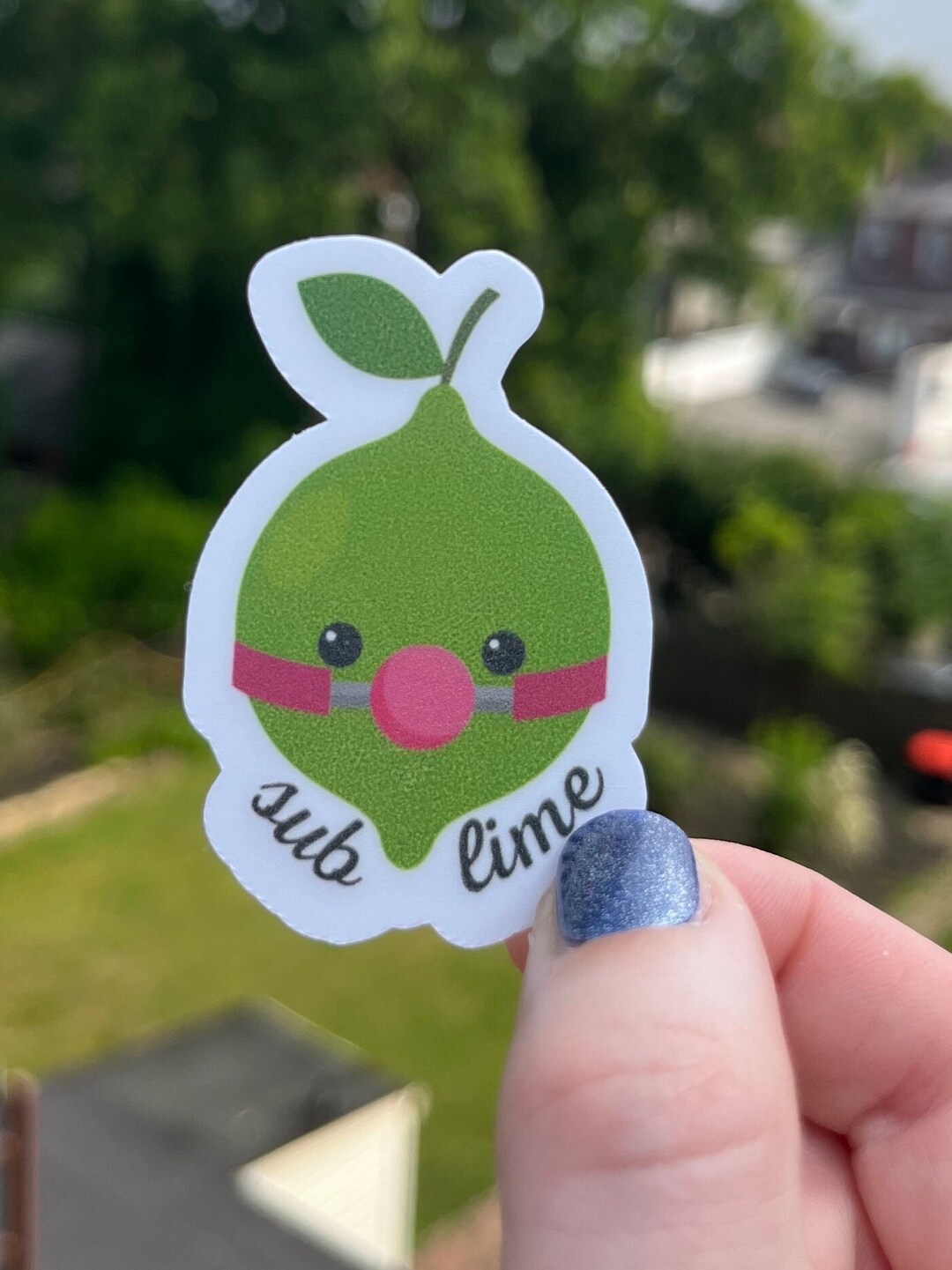 Sub Lime Sticker | Adult Kinky BDSM Funny Cute Sticker - Etsy