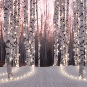 Winter Wonderland Digital Backdrop Collection - 40 Jpeg Files for ...