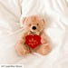 Romantic Proposal Gift Idea, Keepsake Teddy Bear for Proposals, Sweet ...