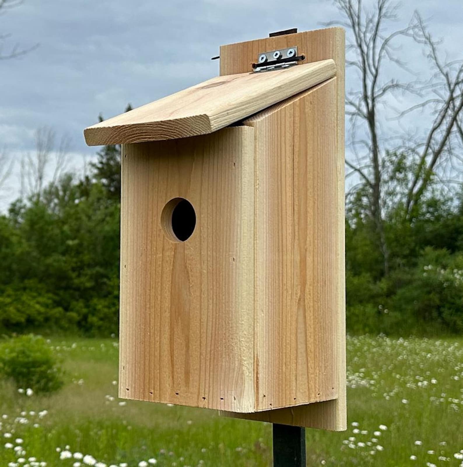 DIY Bird House Woodworking Plans (PDF Download) - Etsy