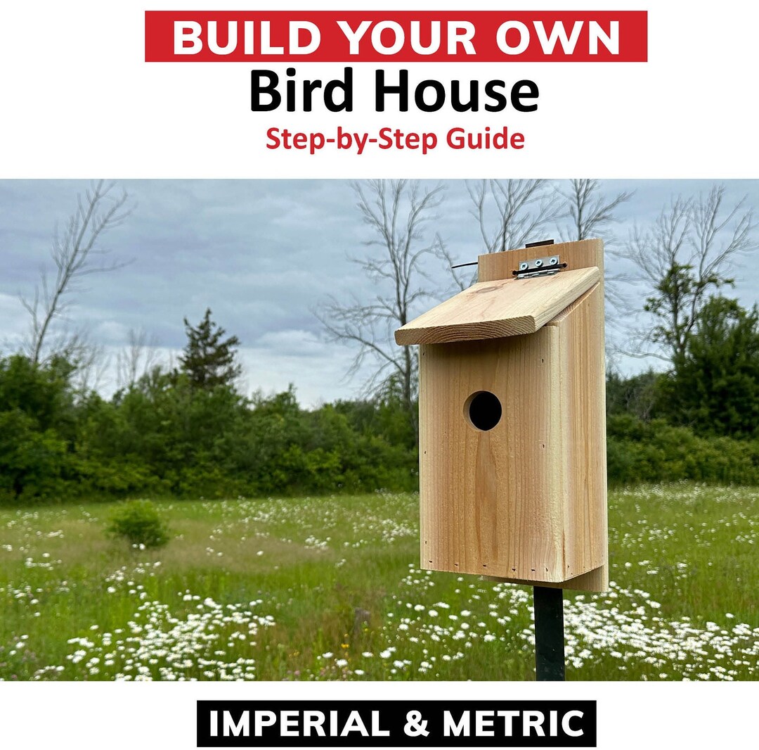 DIY Bird House Woodworking Building Plans PDF Download - Etsy