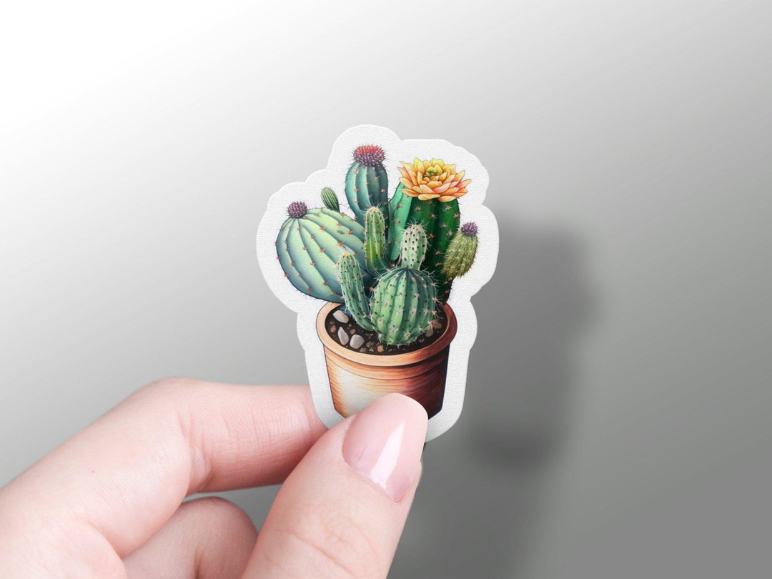 Cactus Stickers, Blooming Saguaro Sticker, Christmas Cactus, Cactus ...