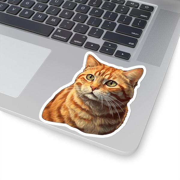 Cat Bumper Sticker - Etsy