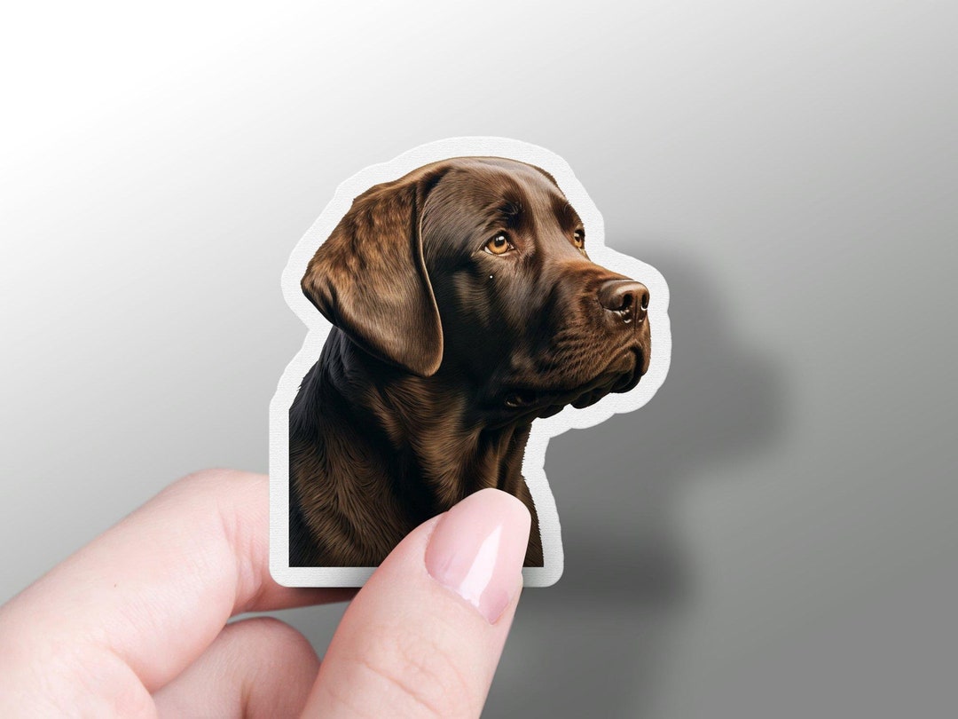 Chocolate Labrador Retriever, Dog Sticker, Chocolate Lab Phone Sticker ...