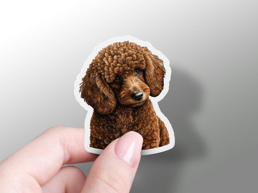 Brown Poodle Dog Sticker Cute Poodle Dog Sticker Vinyl Dog Phone ...