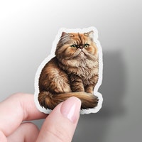 Persian Cat - Etsy
