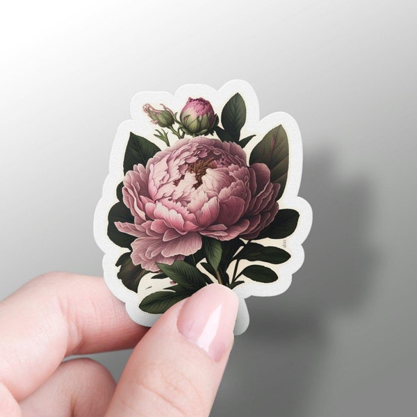Peony Sticker - Etsy