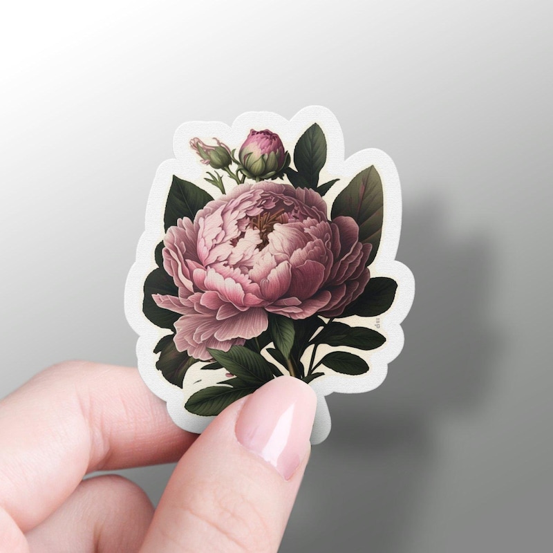 Peony Sticker - Etsy