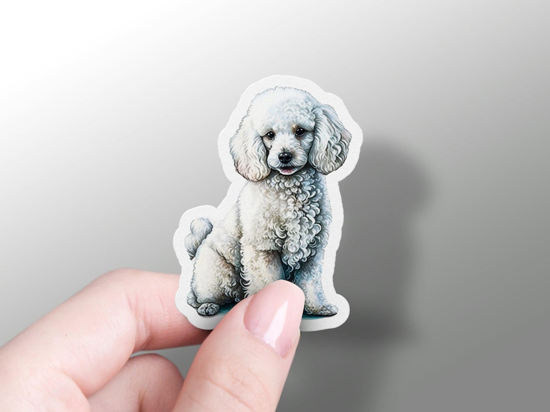 White Poodle Dog Sticker Cute Poodle Sticker Dog Phone Sticker Cute Dog ...