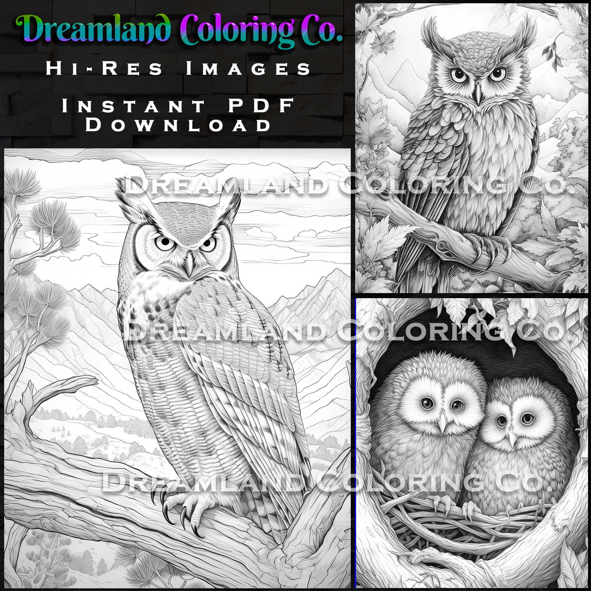 25 Majestic Owls Coloring Book Pages Adult Kids Downloadable Grayscale ...